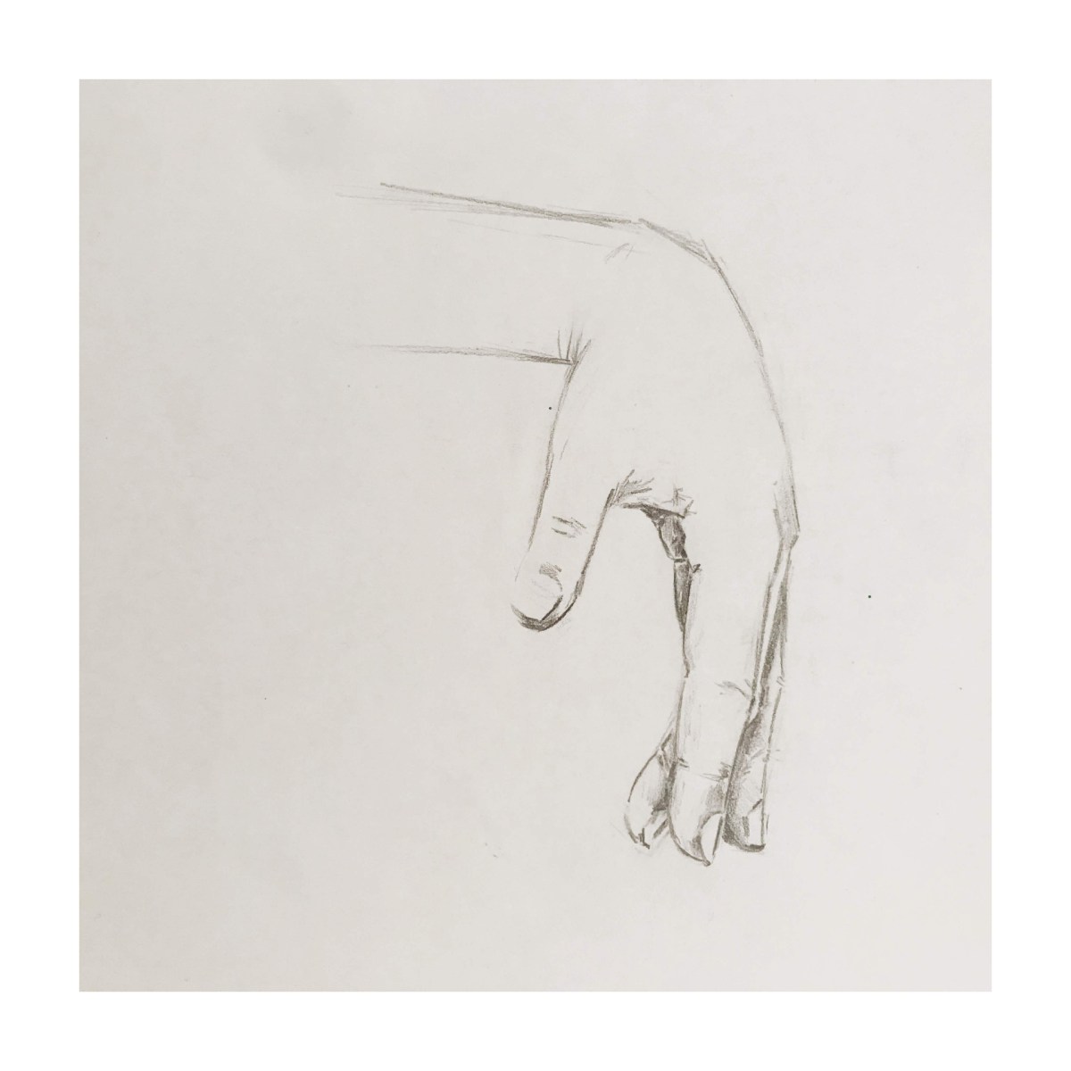 25/11 – ANNA DE JAIME